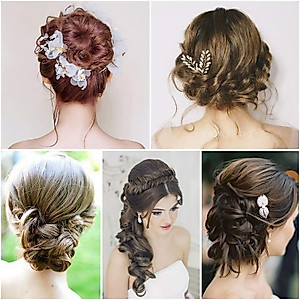 AIEX 50Pcs Hair Pins Kit Hair Clips Secure Hold Bobby Pins Hair Clips for Women Girls and Hairdressing Salon (Brown)