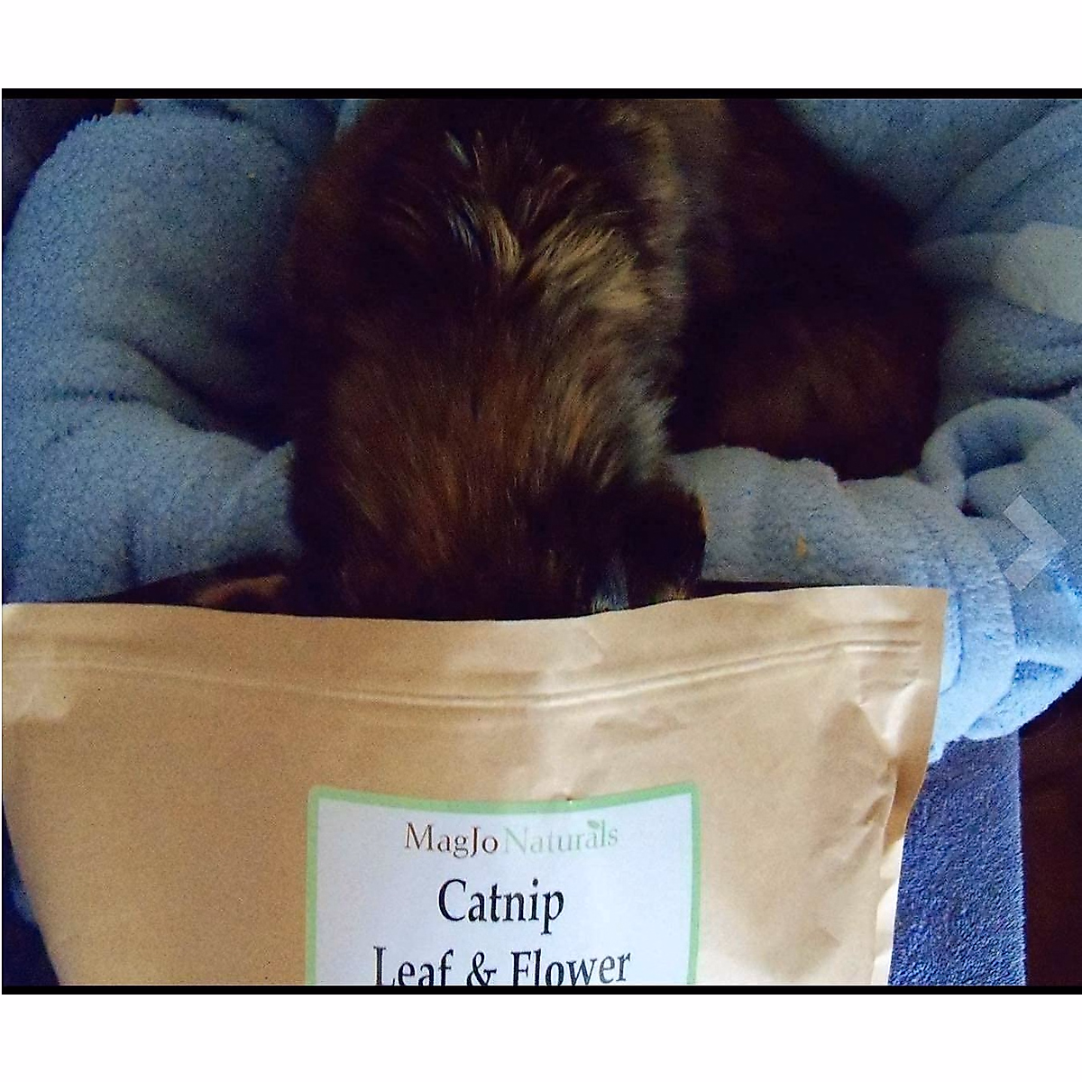 MagJo Naturals Farm Direct Catnip, Freshest Available, Bulk Bag (1 Pound)