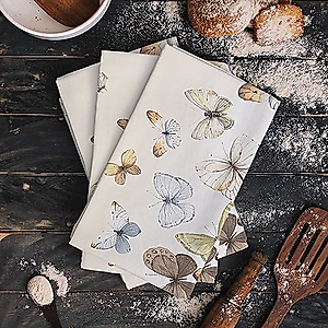 Big buy store Grey Green Brown Butterfly Tea Kitchen Dish Towels Set of 4, Soft Lightweight Microfiber Absorbent Hand Towel Yellow Gradient Towel for Kitchen Bathroom Cleaning Decor Gift 18x48 Inch