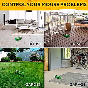 Humane Catch and Release Indoor/Outdoor Mouse Traps Pack of 2 - Easy Set Durable Traps, Safe for Children, Pets and Humans - Instantly Remove Unwanted Vermin from Your Home