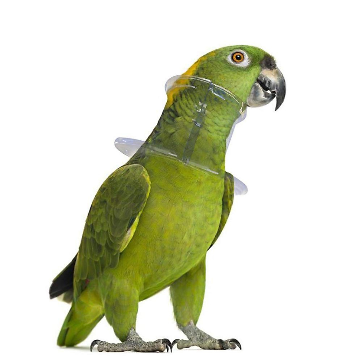 POPETPOP Bird Collar Pet Parrot -bite Collar, Grab Feather Lick Wound Healing Safety Practical Neck Cover for Macaw African Budgies Parakeet Cockatiel