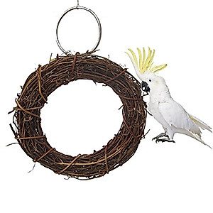 Natural Rattan Hoop Chew Toy for Parakeet Budgie Cockatiel Conure Macaw Lovebird Hanging Cage (L)