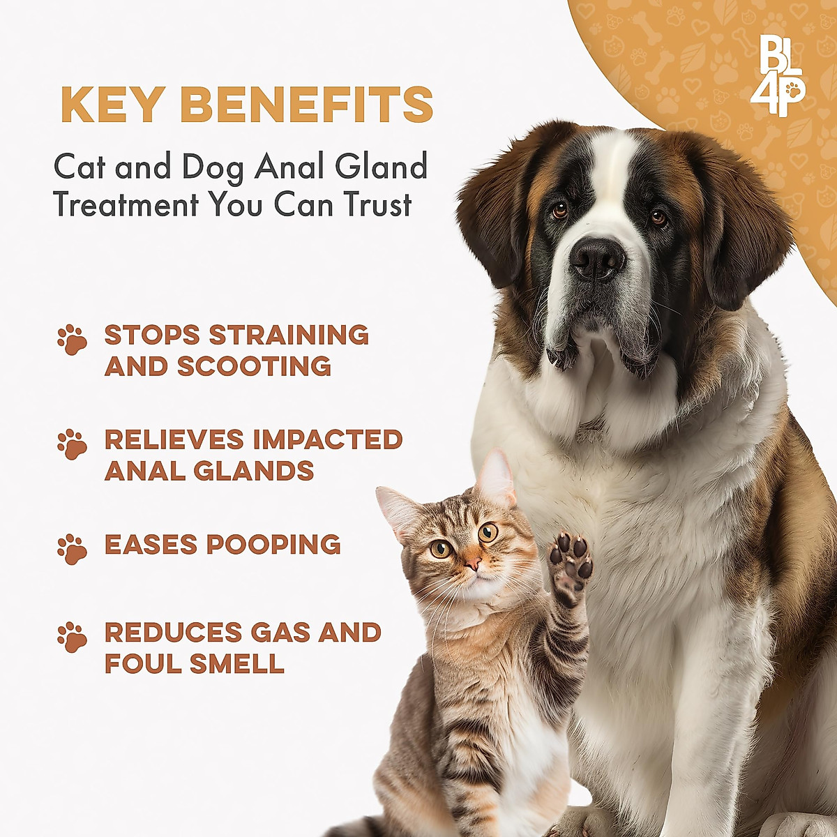 Scoot Stopper and Anal Gland Support for Dogs and Cats - 100% Natural Relief for Dog and Cat Constipation, Rectal Prolapse, Itching, Inflammation, Bum Scooting and Difficult Pooping - 400 Small Pills