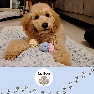 PE-TEL CREATIVITY Dog Rope Toy | Dental Cotton Rope Ball Chew for Puppies/Small/Medium Dogs - Twisted Fun with Colorful Teething Play | Energize Your Dog to Keep Them Busy | Long Lasting