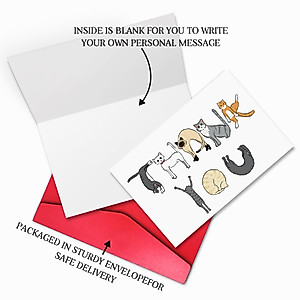 Huokiriki Funny Thank You Card to Men Women From Cats, Cute Alphabet Bday Cats card from Wife, Great Funny Kitty Card for Boyfriend Girlfriend, Cat Lover Card for Family, Thick Card Stock, Envelope Included.