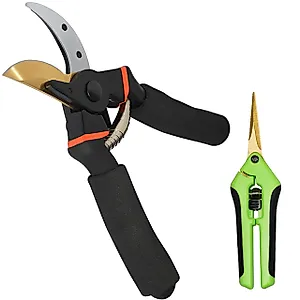 Pruning Shears Garden Scissors Clippers, 1 Pack 8" Professional Sharp Bypass Pruning Shears and 1 Pack 6.5 Inch Gardening Scissors Hand Pruner Pruning Shear with Curved Precision Blades