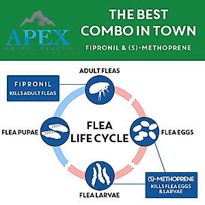 Apex Plus Cat Flea and Tick Treatment | 6-Month Supply, Over 1.5 lbs | Flea Treatment for Cats | 24-Hour Activation, Waterproof, 30-Day Protection