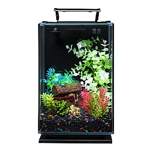 GloFish Aquarium Gravel, Fish Tank Gravel, Black With Fluorescent Accents, Compliments GloFish Tanks, 5 lb Bag