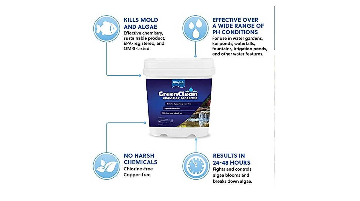 BioSafe Systems 3002-8 GreenClean Granular Algaecide String Algae ...