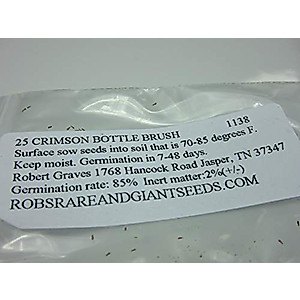 1138-Crimson Bottle Brush (Callistemon citrinus) Seeds by Robsrareandgiantseeds UPC0764425787570 Non-GMO,Organic,USA Grower,Herb,Bonsai,1138 Package of 25 Seeds