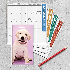 TF PUBLISHING Puppies Small Monthly Pocket Daily Planner 2023-2024 | Pocket Calendar 2023-2024 For Purse | Daily Planner 2023 - 2024 | Agenda 2023 | Calender 2023 Small Planner | 3.5" x 6.5"