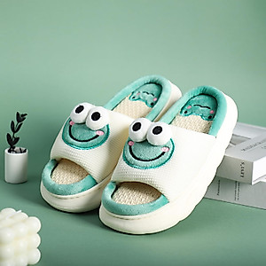 Gaolinci Cartoon Animal Shape Slippers, Womens Four Seasons Home Linen Slippers (Frog-US 8-9)