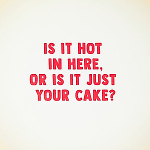 Hallmark Funny Birthday Card with Light and Sound (Birthday Cake Fire)