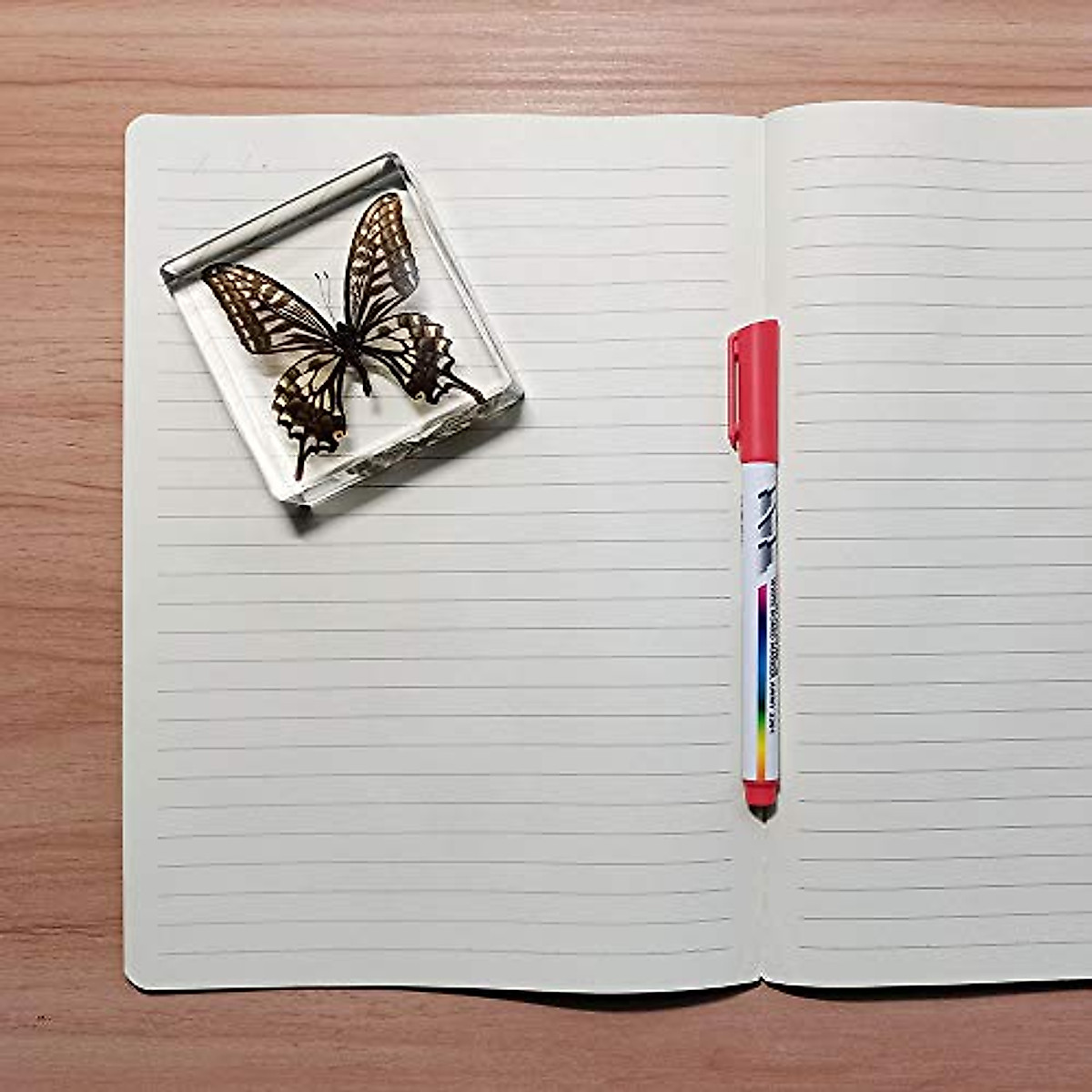 Real Butterfly Insect Specimens In Resin Paperweight Crafts, Animal Taxidermy Collection for Science Education & Desk Ornament (Butterfly-03)