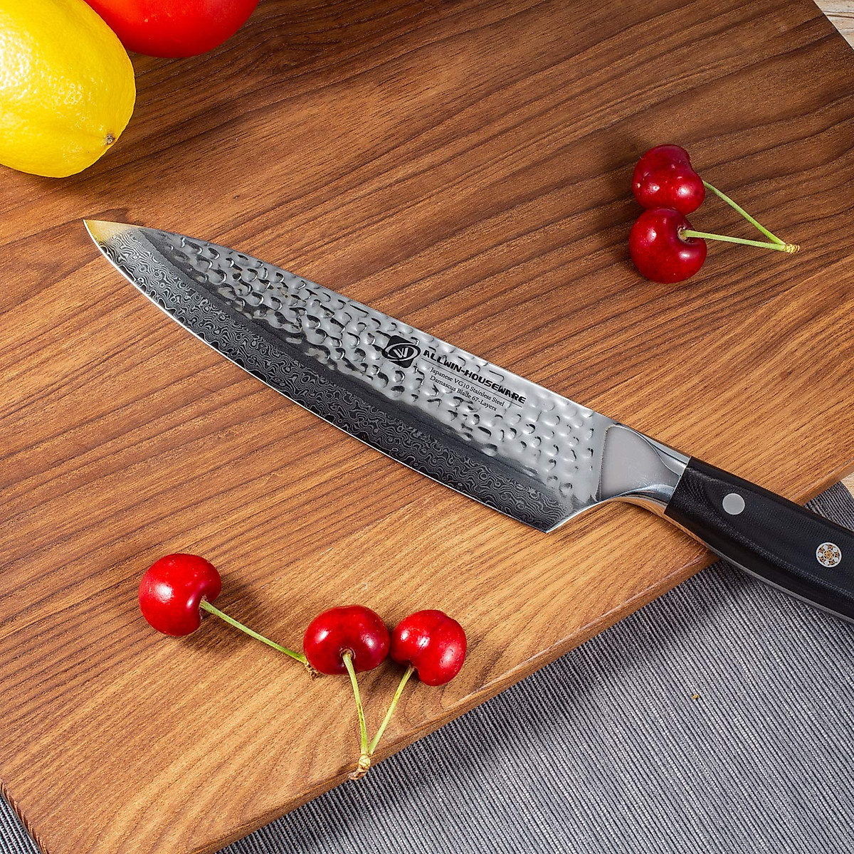 Premium 8 Inch Damascus Chef Knife, VG10 Super Steel 67 Layer High Carbon Stainless Steel Kitchen Knife with Full Tang Handle