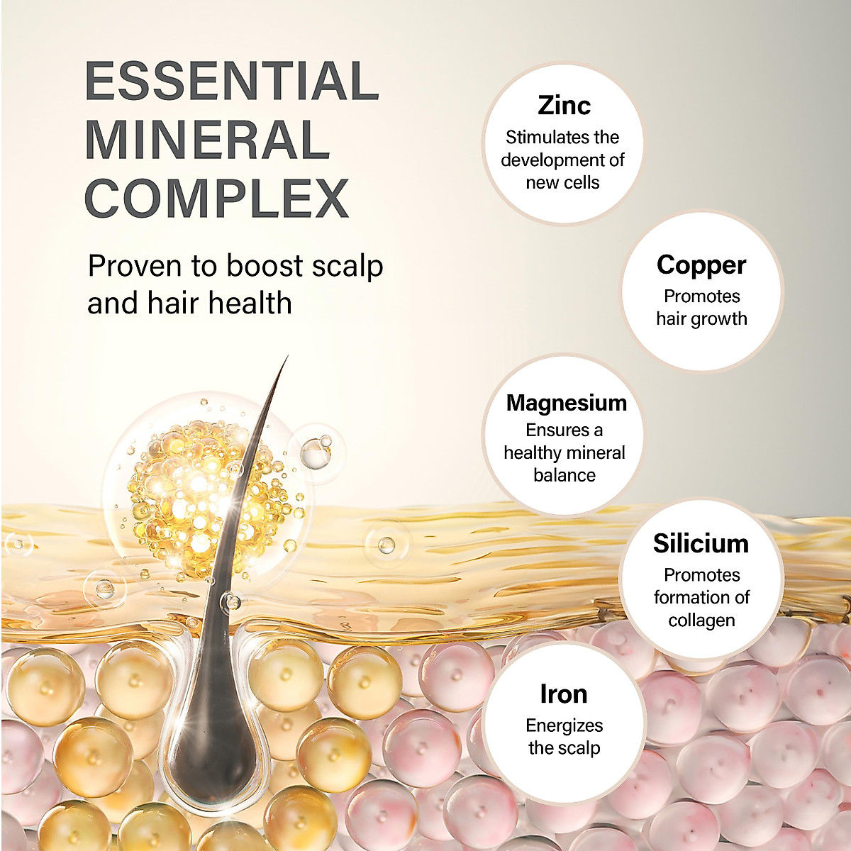 Keune Care Tinta Color Conditioner, Color-Safe & UV-Protecting Conditioner with Triple Color Protection, 8.5 Fl Oz