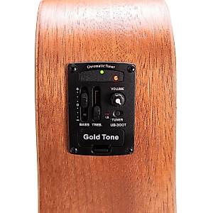 M-Bass25FL 25-Inch Scale Fretless Acoustic-Electric MicroBass with Gig Bag