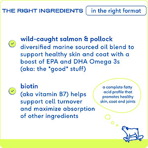 Native Pet Omega 3 Fish Oil Supplements with Omega 3 EPA DHA for Dogs Liquid Pump is Easy to Serve, Supports Itchy Skin + Mobility - a Fish Oil Dogs Love! (16 oz)