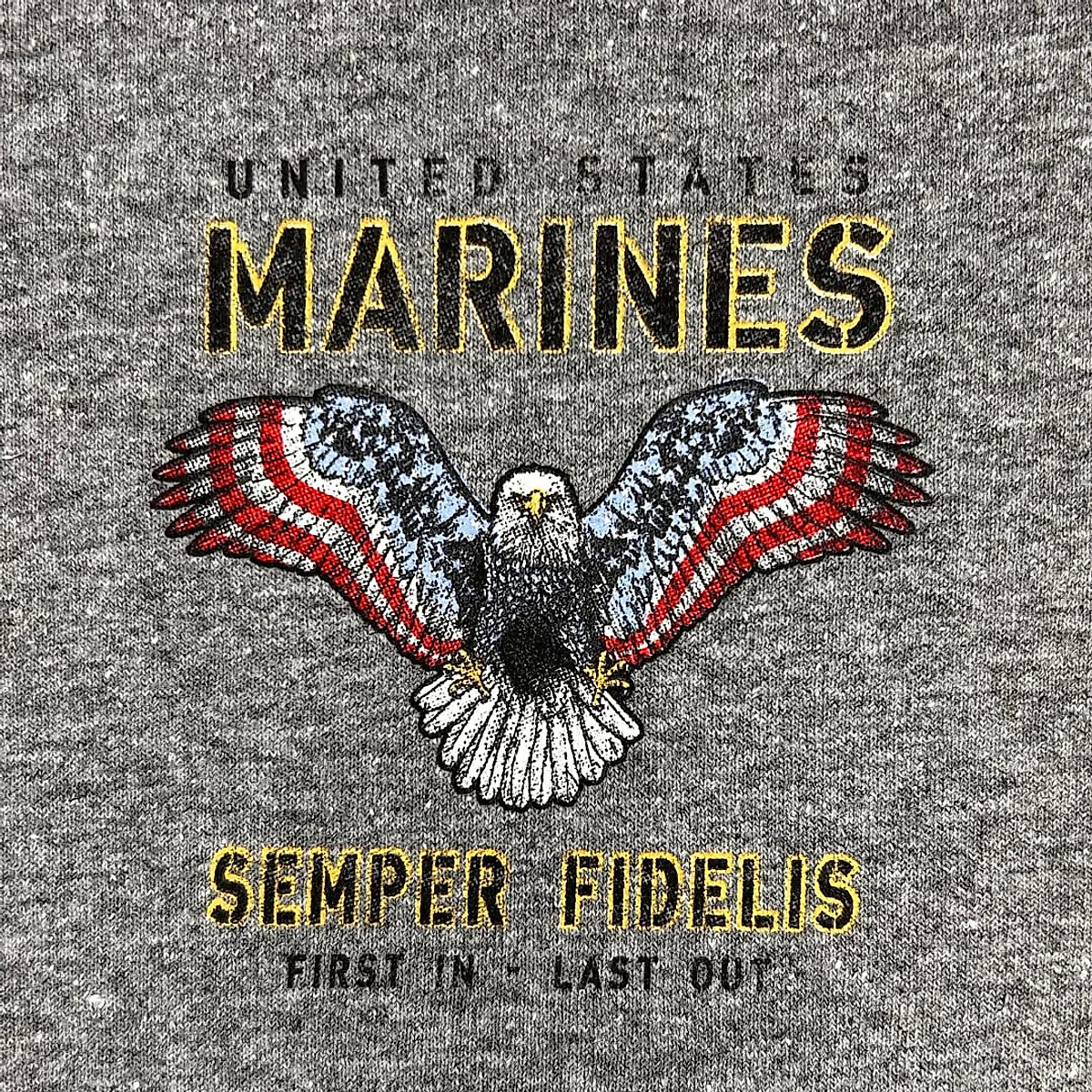 Armed Forces Gear Men's US Marine Corps Stars and Stripes T-Shirt- Official Licensed United States Marines Shirts for Men (Graphite, Medium)