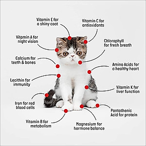 The Cat Ladies Hello Kitty Organic Cat Grass Growing kit with Organic Seed Mix, Soil and Hello Kitty Planter. Natural Hairball Control and Digestive Remedy,Cat Gifts