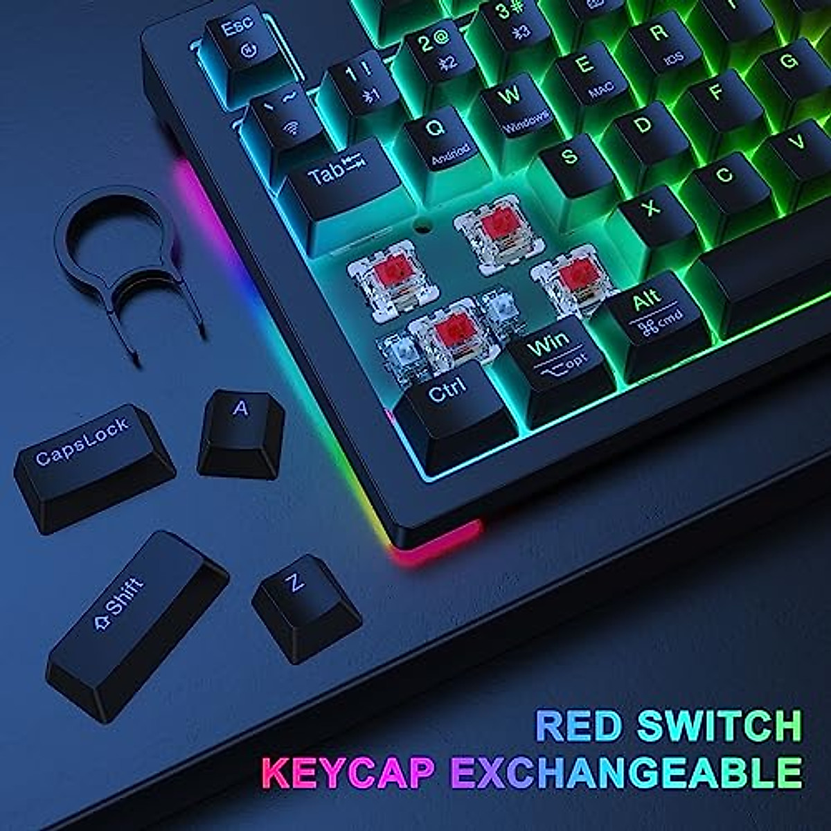 TECURS Wireless Gaming Keyboard, 80% TKL Mechanical Keyboard RGB Programmable Wired/2.4Ghz/Bluetooth Backlit Keyboard 87 Keys Compact Gamer Keyboard with Red Switch for Windows Mac PC Laptop