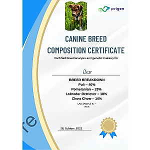 AffinityDNA PetGen - Dog Breed, Health, Behaviour & Trait Identification Test Kit | at-Home Sample Collection Cheek Swab Kit | Full Genetic Test for Dogs| Results in 4 Weeks | No Extra Fees