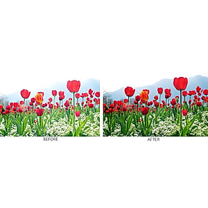 77mm Pro series Multi-Coated High Resolution Digital Ultraviolet Filter