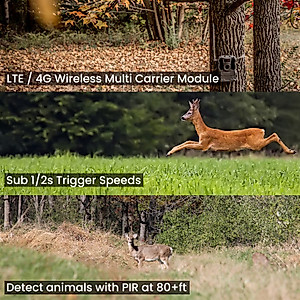 TACTACAM Reveal XB Cellular Trail Camera, No Glow - Verizon & AT&T