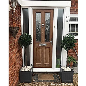 Leaf Artificial Topiary Bay Laurel Tree Ball Style Plain Stem in Black Plastic Pot, 120cm (4ft) Twist, Youth Large / 11-13