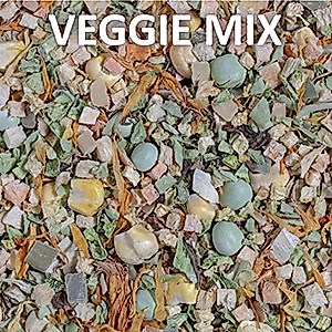 Healthy Herp Instant Meal Adult Dragon Food Variety Pack (7 x Adult Dragon Food, 4 x Fruit Mix, 3 x Vegi Mix, and 1 X Feeding Dish)