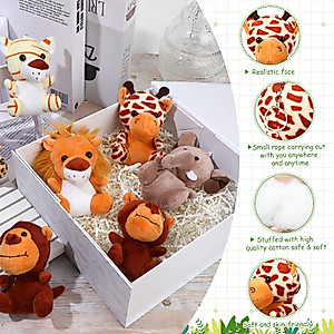 HyDren 18 Pcs Mini Stuffed Forest Animals Bulk Jungle Animal 4.8 Inch Cute Funny Toys Lion Tiger Elephant Giraffe Leopard Monkey Plush Set for Animal Themed Parties Achievement Award(Lovely Style)