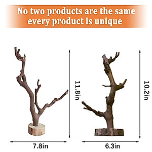 BNOSDM Reptile Grapevine Wood Decoration Resin Climb Tree Branch Decor Grape Wood Branches for Leopard Gecko Lizard Frog Snake Climbing