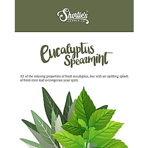 Shortie's Candle Company Eucalyptus Spearmint Wax Melts - Formula 117-1 Highly Scented 3 Oz. Bar - Made with Essential & Natural Oils - Fresh & Clean Air Freshener Cubes Collection