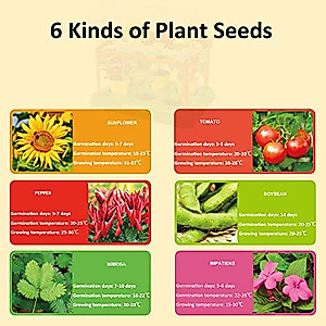 EXBEPE Kids Gardening Kit Greenhouse Growing Terrarium Kit Plant Growing Set Discovery Educational Gardening Gift for Boy & Girl