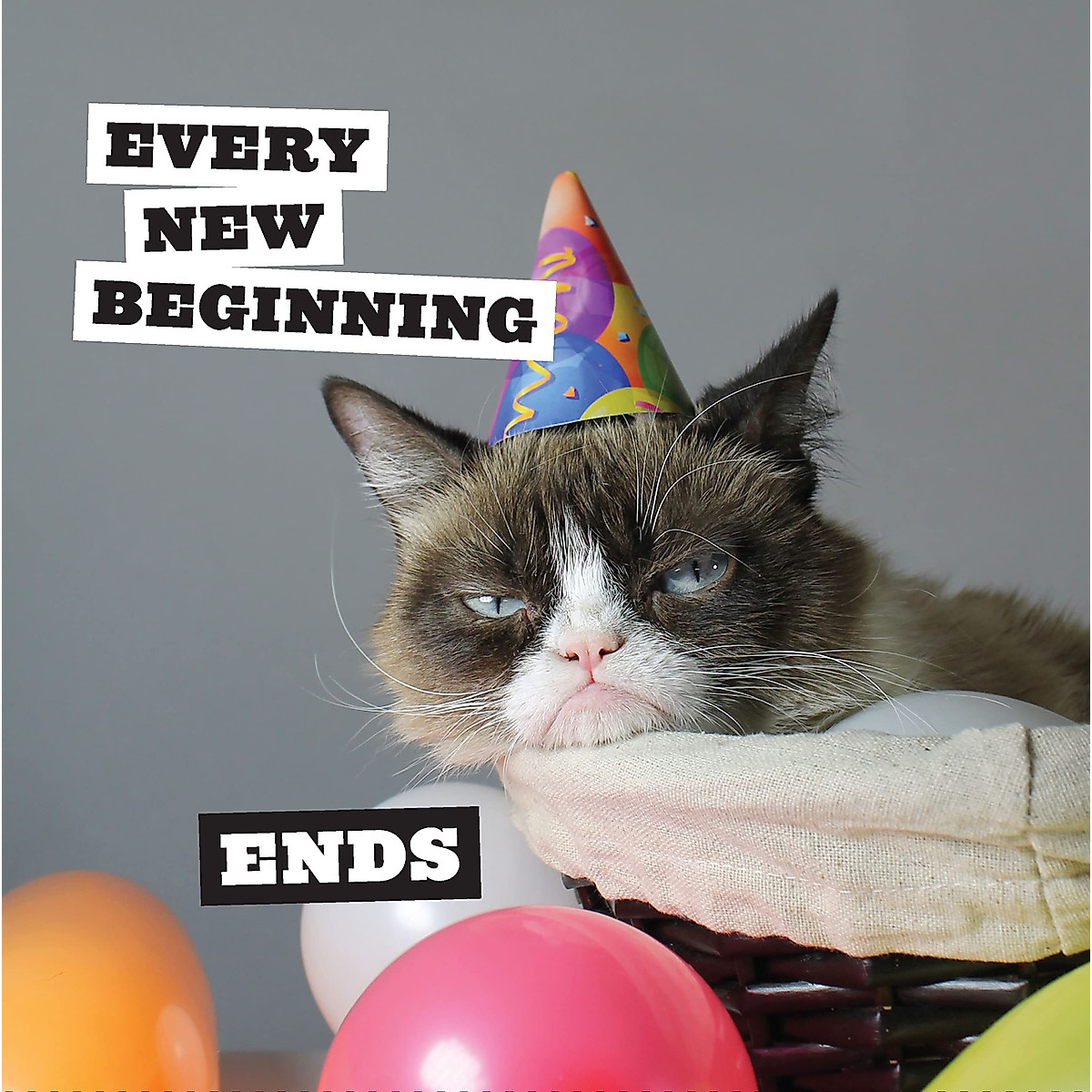 Grumpy Cat 2023 Wall Calendar