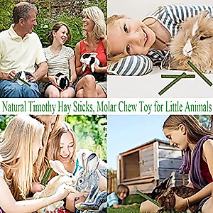 LSSH GmbH 20PCS Natural Timothy Hay Sticks, Timothy Grass Molar Stick Chew Toys for Rabbits, Chinchillas, Guinea Pigs, Hamsters and Other Small Animals Treats.