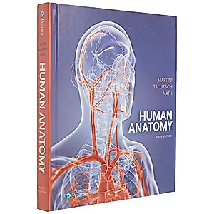 Human Anatomy