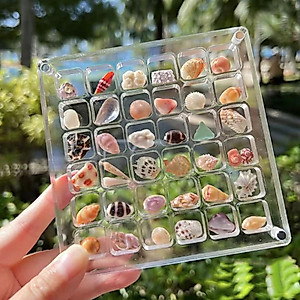 XronSlute Acrylic Magnetic Seashell Display Box,DIY Seashell Display Box,Clear Storage Box for Seashell,Gemstones,Nail,Jewelry (1Pc 36 Grids Small)