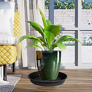 OVZILKI 6 Pack of Plant Saucer Tray 4 6 8 10 12 14 17 19 22 25 inch, Heavy Duty Plastic Pot Plant Drip Trays Saucers for for Indoors Outdoor, Plant Water Tray for Planters 3-5" (4", Black)