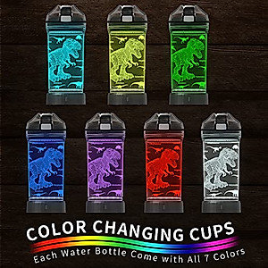 Anywin Dinosaur Gifts for Boys, Dinosaur Glowing Water Bottles, Light Up Dinosaur Led Night Travel Cups -Tritan BPA Free & Easy Clean & Carry Handle, Gifts for Back to School, Birthday, Xmas for Kids