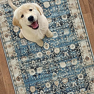 Nailttos Boho 5x7 Area Rugs, Washable Non-Slip Distressed Oriental Living Room Rug, Low-Pile Dining Room Rug Farmhouse Carpet for Bedroom Dorm Office Home Decor