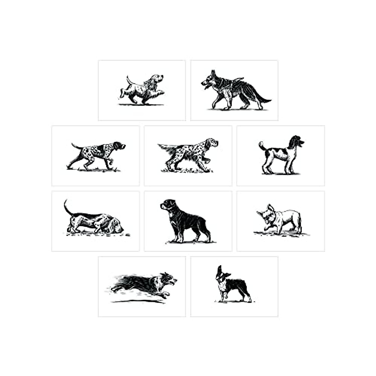 Dog Box: 100 Postcards by 10 Artists