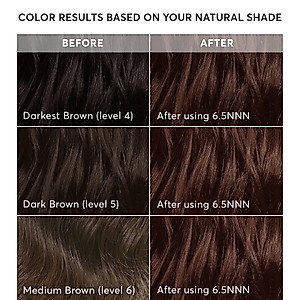 Madison Reed Radiant Hair Color Kit, Light Brown for 100% Gray Coverage of Resistant Gray Hair, Ammonia-Free, 6.5NNN Novara Light Brown, Permanent Hair Dye, Pack of 1