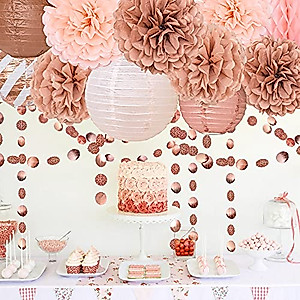 Rose Gold Party Decorations, Tissue Pom Poms, Paper Lanterns, Honeycomb Ball, Paper Circle Dots Garlands, 13 Pcs Hanging Party Supply Set for Wedding Bridal Shower Baby Shower Birthday - Rose Gold