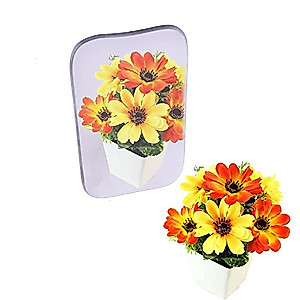 5Pcs/Set 2 Sided Pofessional Dental Occlusal Photographic Mouth Mirror Rhodium Dental Plated Glass Intraoral Photo Reflector