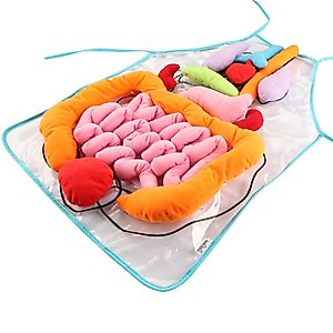 vocheer 3D Organ Apron, Anatomy Apron Human Body Organs Awareness Montessori Educational Tool Toy for Home Preschool Teaching Aid, Transparent…