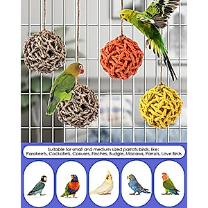Bissap 6PCS Small Parrot Chew Toys, Sola Balls Parrot Chewing Foraging Toys Colorful Bird Foot Balls for Cockatiels Conures Cockatoos Parakeets Love Birds Small Parrot Cage Bite Toys