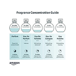 PERFUME&BEAUTY DARK ICE Perfume for Men Parfum 100ML 3.4 fl.oz-Black