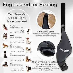 Ortocanis Dog Knee Brace for Torn Acl Hind Leg, Cruciate Ligament Injuries, Patella Dislocation or Osteoarthritis - Dog Acl Knee Brace - Dog Braces for Back Leg for Support (XXX-Small, Left Leg)
