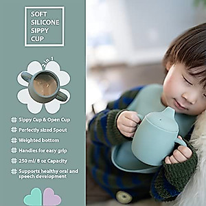 Clover Clover 9 Piece Baby Led Weaning Supplies- Toddler Feeding Set- Silicone Divided Suction Plate with Lid, Suction Bowl, Sippy Cup, 2 Bibs, 2 Soft Spoons and Fork 6 Months+ (Ether)